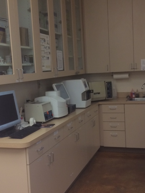 Fully Equipped In-House Lab | Companion Animal Hospital
