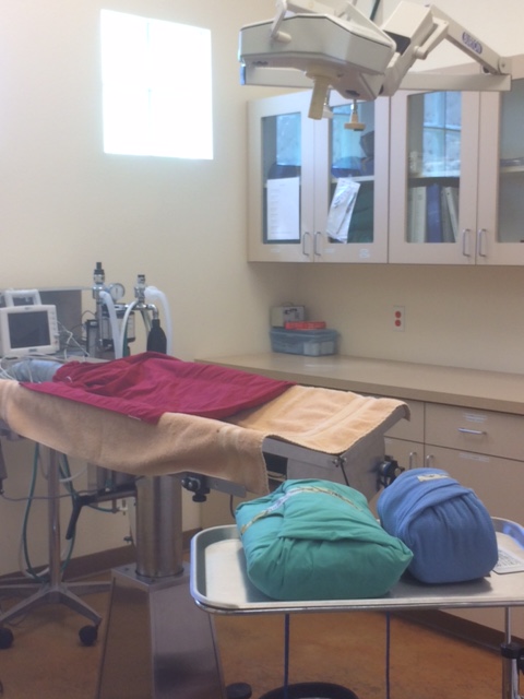 Surgical Suite with Latest in Anesthesia Monitoring Technology ...